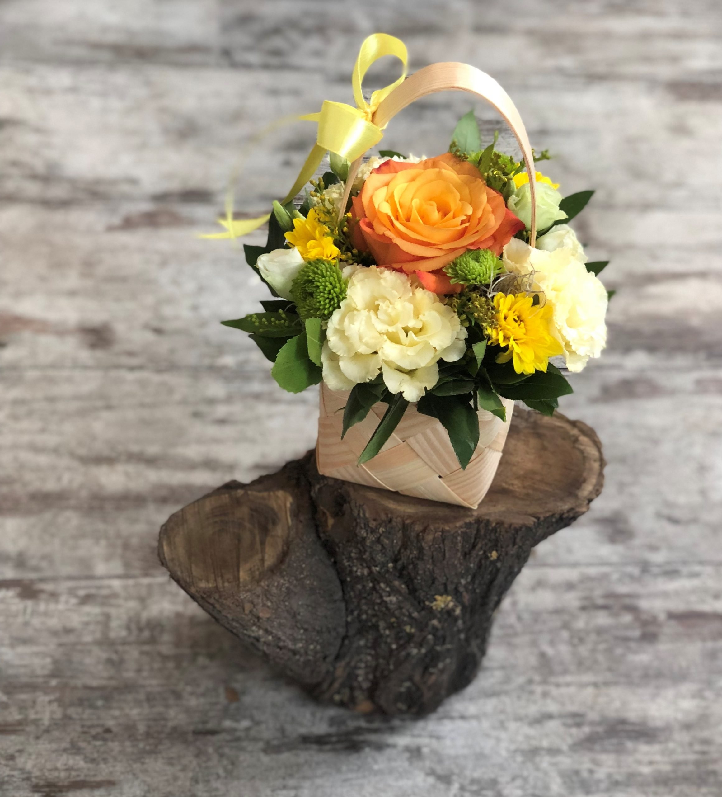 Cosuletul zilei - Descopera-l acum pe BlueDaisy .ro