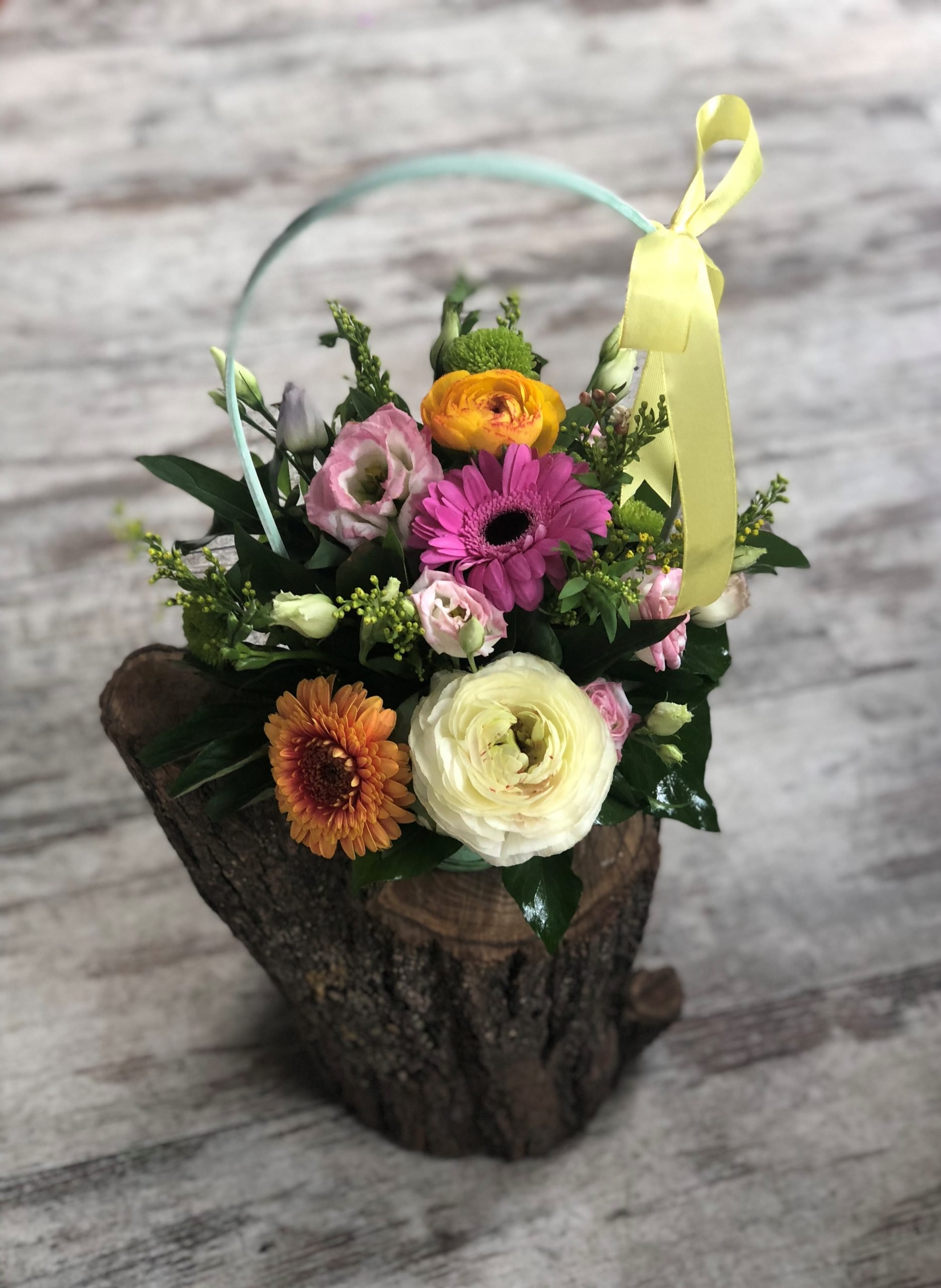 Cosuletul zilei - Descopera-l acum pe BlueDaisy .ro