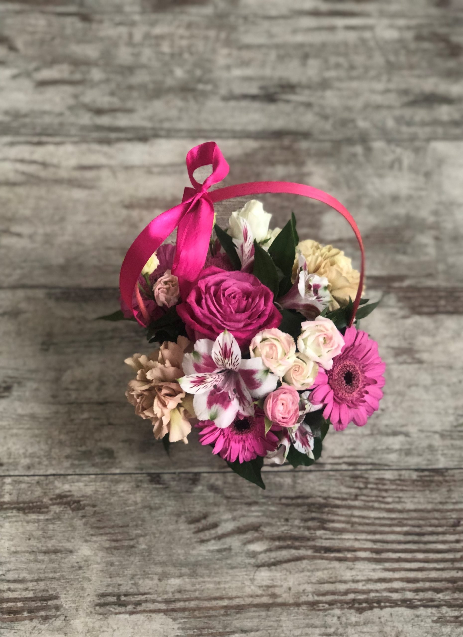 Cosuletul zilei - Descopera-l acum pe BlueDaisy .ro